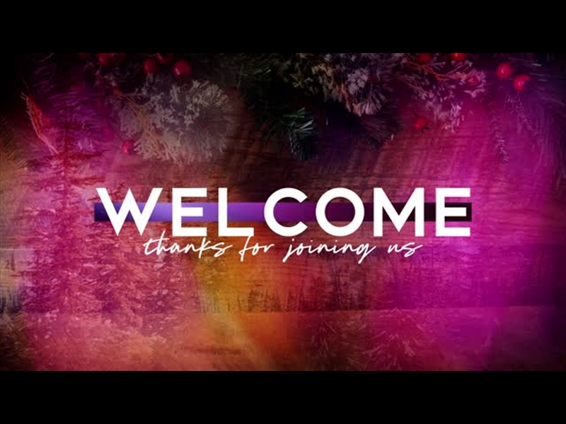 Welcome Christmas Lights