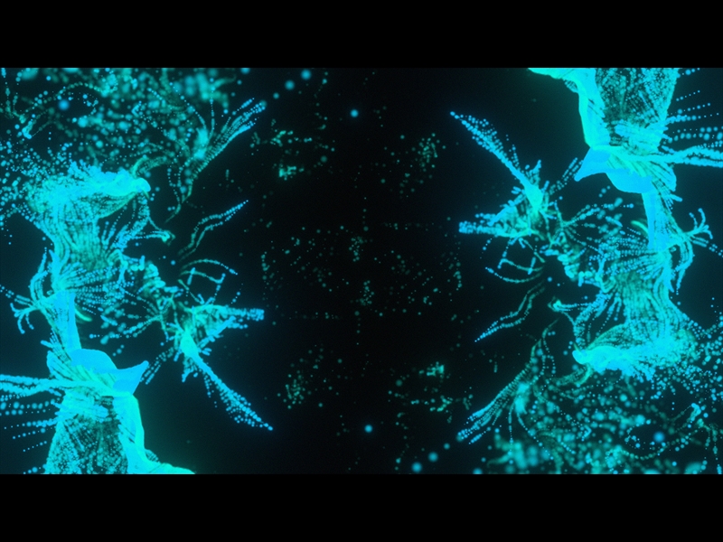 Deep Glow Service Pack | Centerline New Media | Playback Media Store