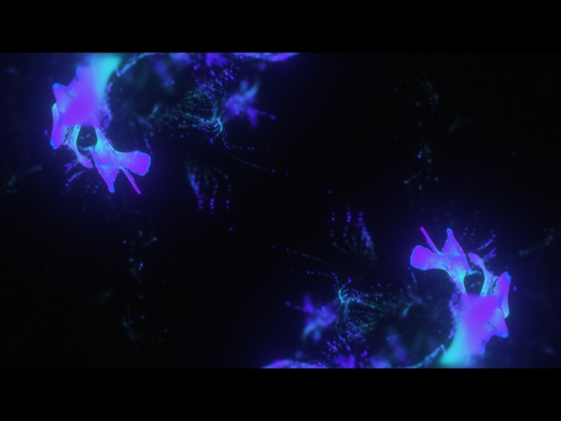 Deep Glow 09 | Centerline New Media | Playback Media Store