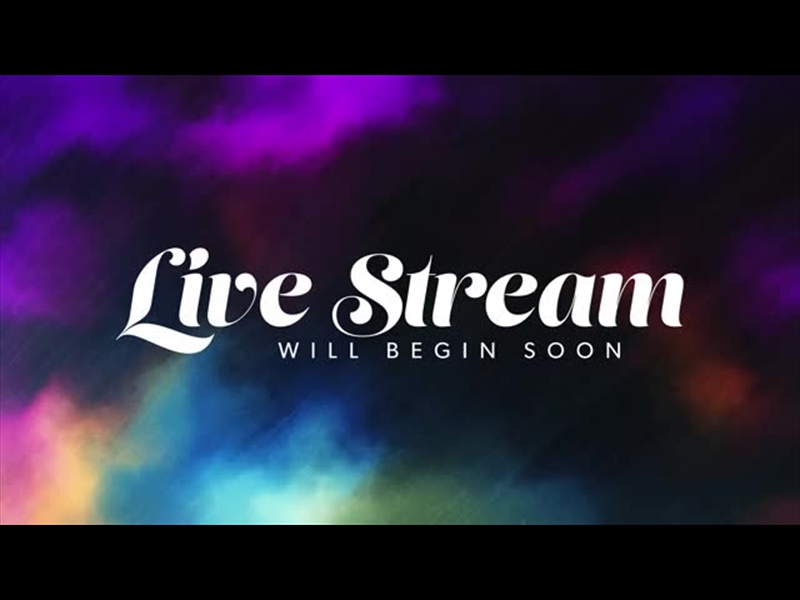 Easter Paint Live Stream | Centerline New Media | Playback Media Store