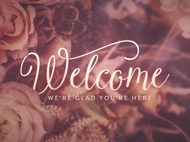 Elegant Flowers Welcome | Centerline New Media | Playback Media Store