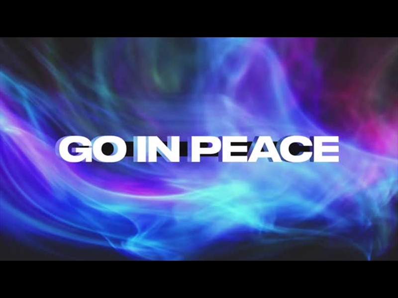 Flux Go In Peace | Centerline New Media | Playback Media Store
