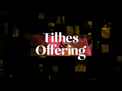 Geo Paint Service Pack | Centerline New Media | Playback Media Store