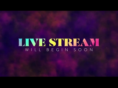 Glitter Fog Livestream | Centerline New Media | Playback Media Store