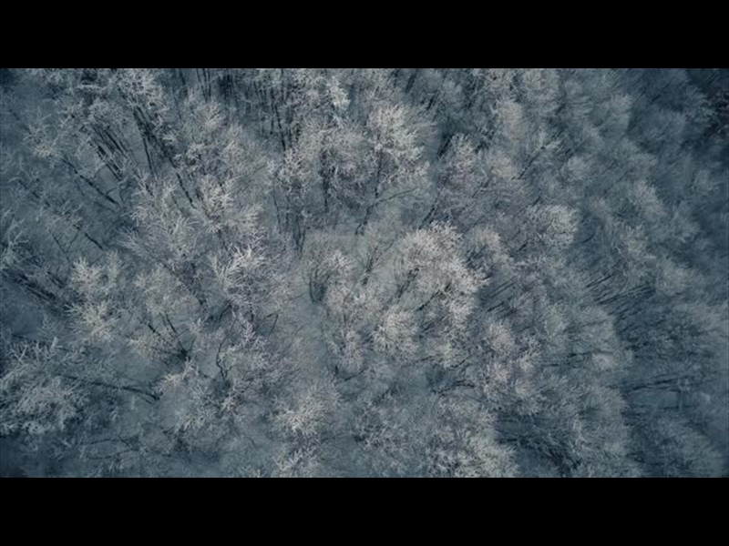Glorious Winter 15 | Centerline New Media | Playback Media Store