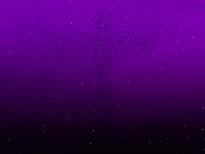 Gradient Ash Cross 03 | Centerline New Media | Playback Media Store