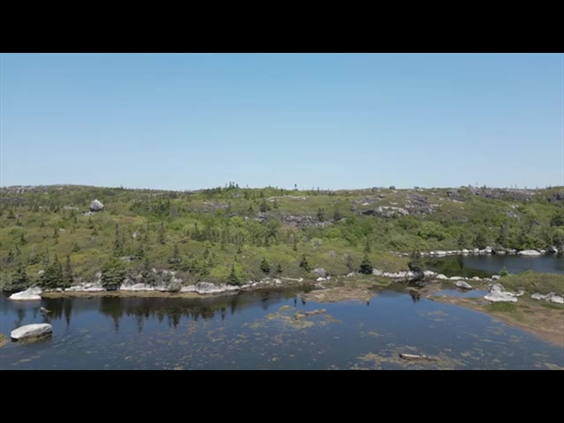 Halifax Service Pack | Centerline New Media | Playback Media Store