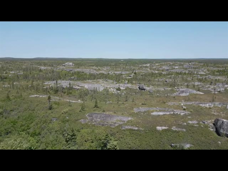 Halifax Service Pack | Centerline New Media | Playback Media Store