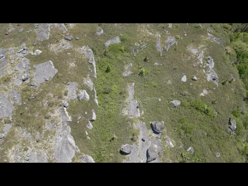 Halifax Service Pack | Centerline New Media | Playback Media Store