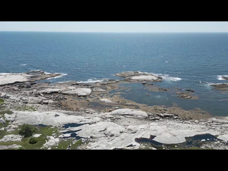 Halifax Service Pack | Centerline New Media | Playback Media Store