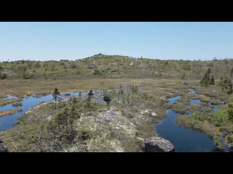 Halifax Service Pack | Centerline New Media | Playback Media Store