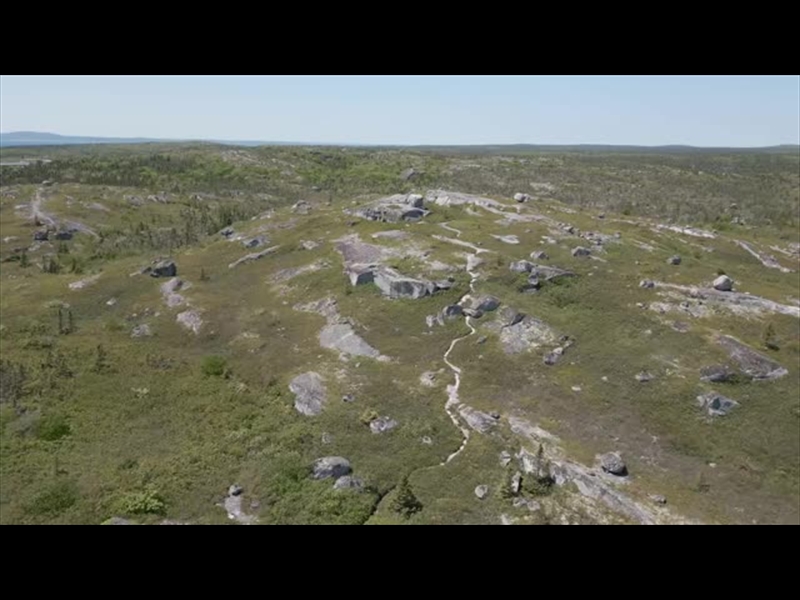 Halifax Service Pack | Centerline New Media | Playback Media Store