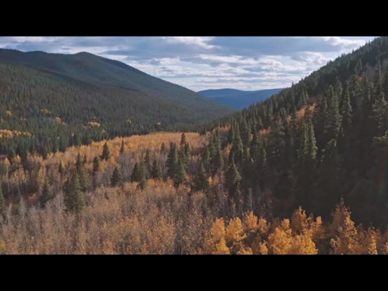 Mountain Sky Service Pack | Centerline New Media | Playback Media Store