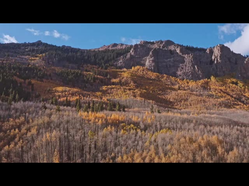 Mountain Sky Service Pack | Centerline New Media | Playback Media Store