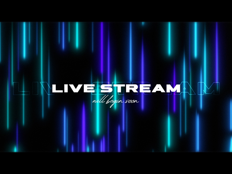 Neon Rain Live Stream | Centerline New Media | Playback Media Store