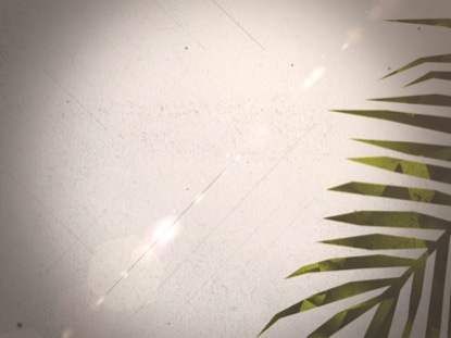 Palm Sunday Worship 03 | Centerline New Media | WorshipHouse Media