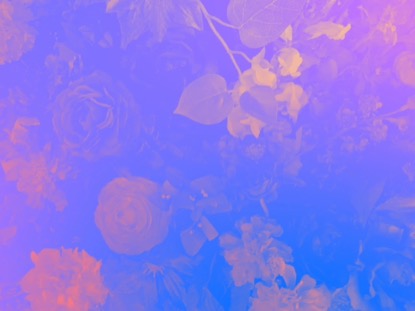 Radiant Gradient Flowers 02 | Centerline New Media | WorshipHouse Media
