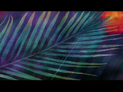 Radiant Paint Palm 01 | Centerline New Media | Playback Media Store