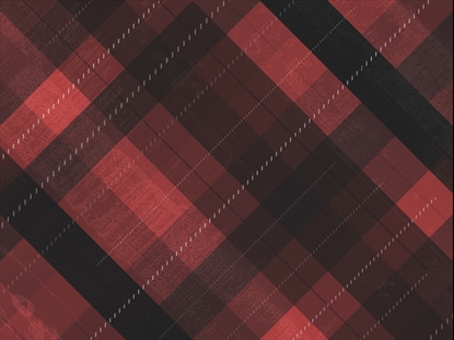 Rad Plaid Service Pack | Centerline New Media | Playback Media Store