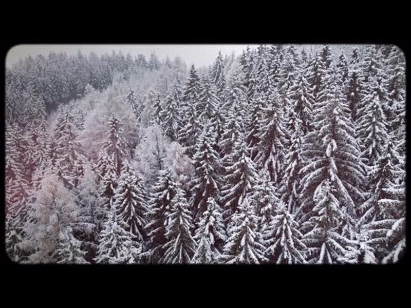 Retro Winter Service Pack | Centerline New Media | Playback Media Store