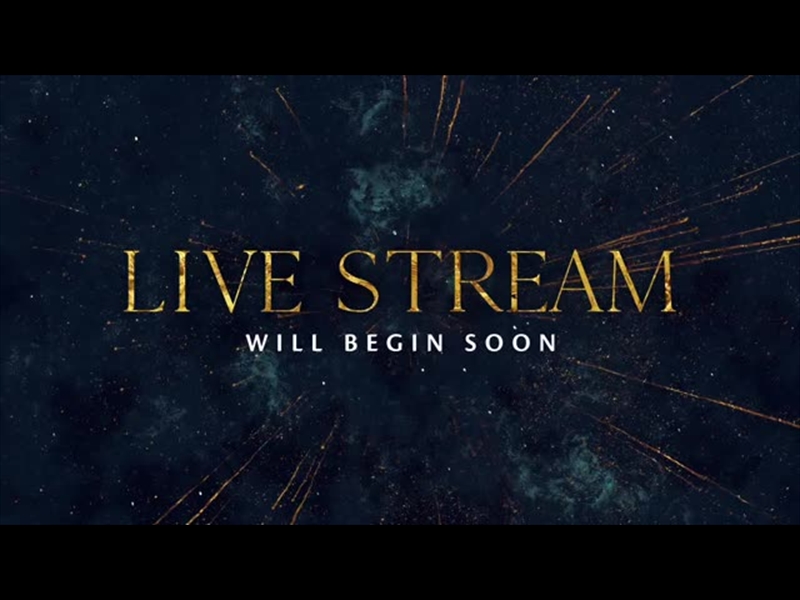 Christmas Seasonal Store | Playback Media Store