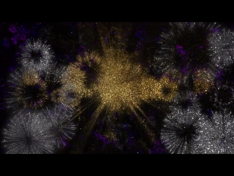 Sparkle Service Pack | Centerline New Media | Playback Media Store