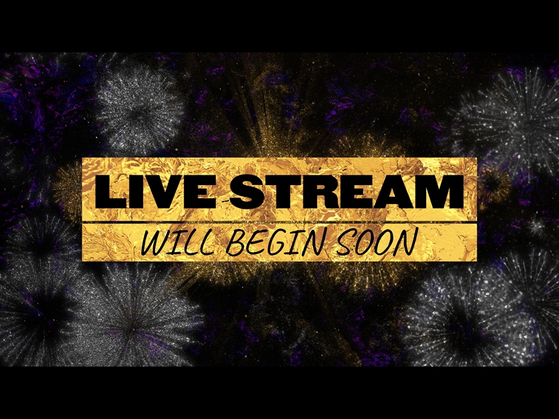 Sparkle Live Stream | Centerline New Media | Playback Media Store