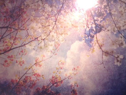 Spring Glow 05 | Centerline New Media | WorshipHouse Media