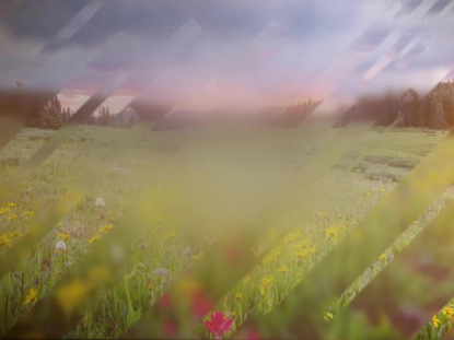 Spring Journey 05 | Centerline New Media | Playback Media Store