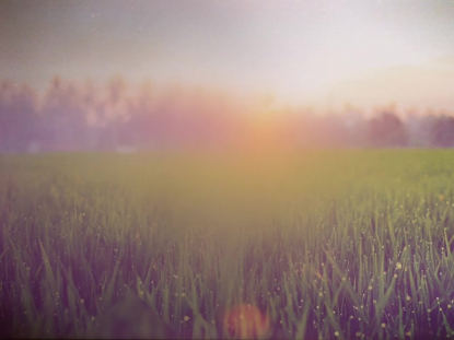 Spring Journey 11 | Centerline New Media | Playback Media Store