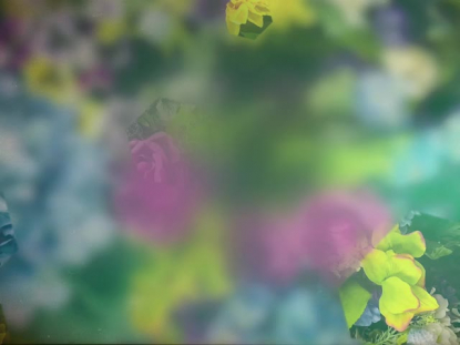 Spring Journey 14 | Centerline New Media | Playback Media Store