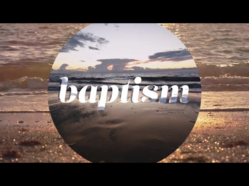 Spring Nature Service Pack | Centerline New Media | Playback Media Store