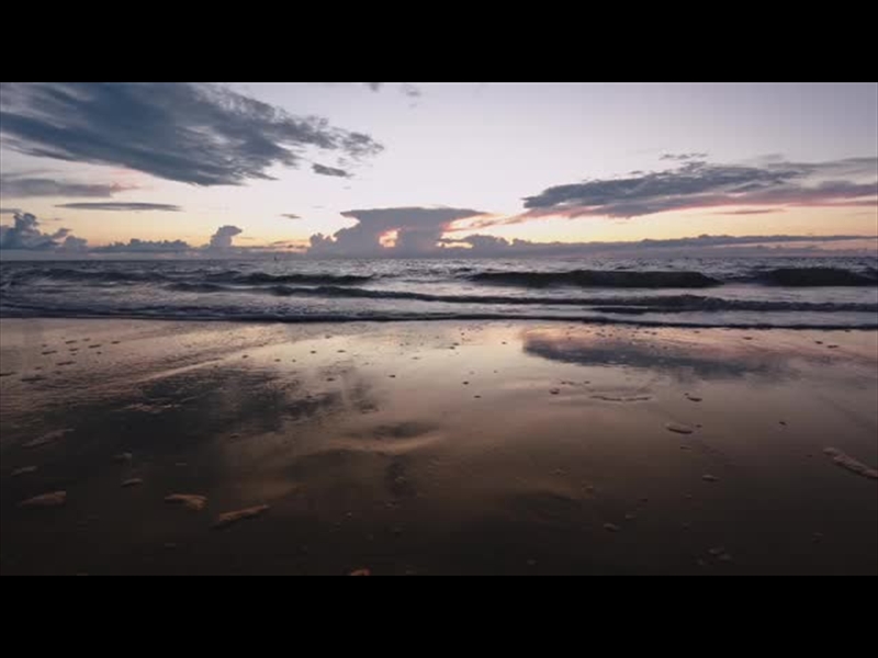 Spring Nature Motion 02 | Centerline New Media | Playback Media Store