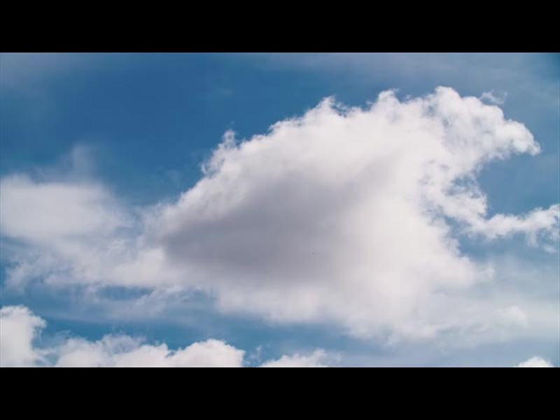 Spring Nature Motion 03 | Centerline New Media | WorshipHouse Media