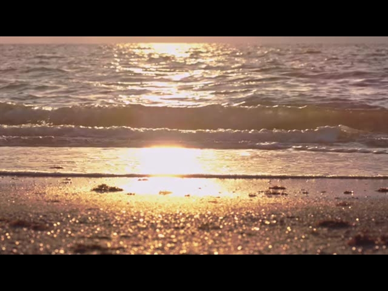 Spring Nature Motion 08 | Centerline New Media | Playback Media Store