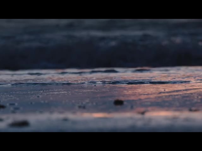 Spring Nature Motion 09 | Centerline New Media | WorshipHouse Media