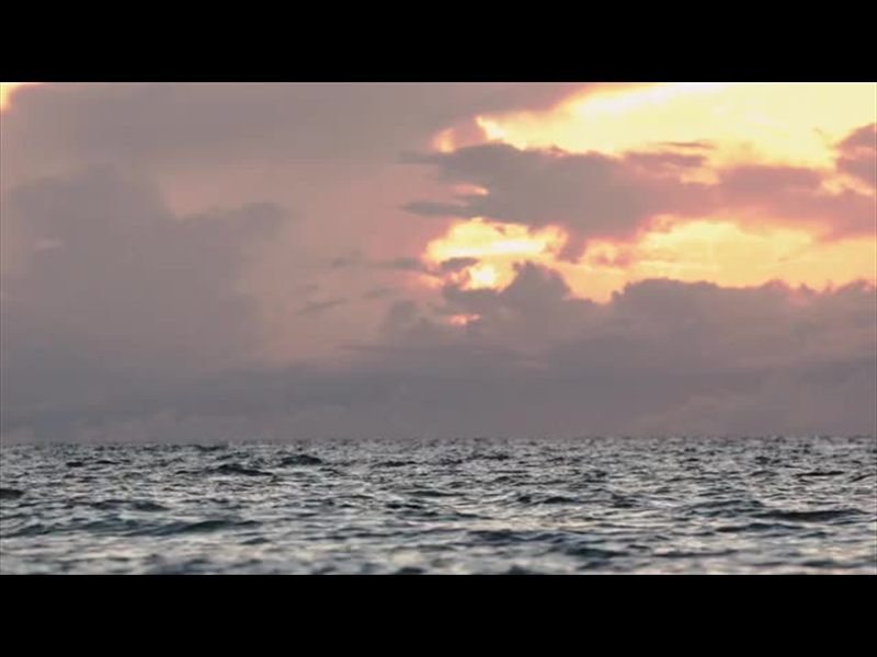 Spring Nature Service Pack | Centerline New Media | Playback Media Store