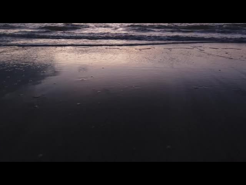 Spring Nature Motion 13 | Centerline New Media | Playback Media Store