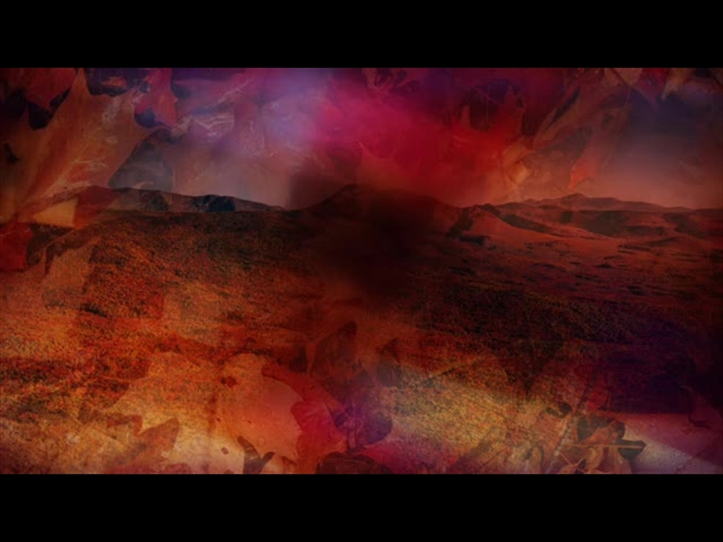 Subtle Fall 02 | Centerline New Media | Playback Media Store