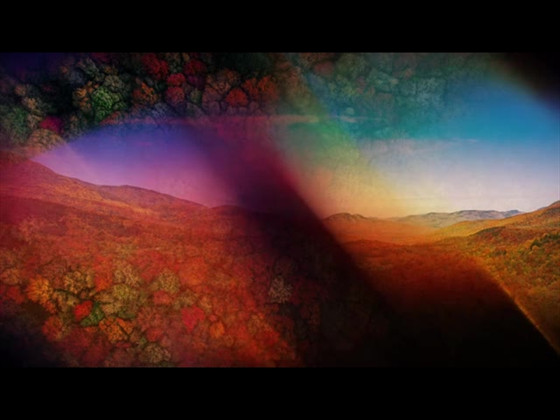 Subtle Fall 07 | Centerline New Media | Playback Media Store