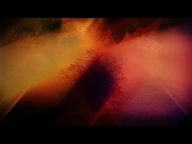 Subtle Fall 08 | Centerline New Media | Playback Media Store