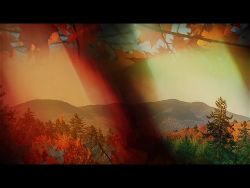 Subtle Fall Service Pack | Centerline New Media | Playback Media Store