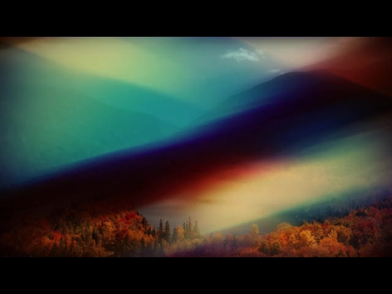 Subtle Fall 12 | Centerline New Media | Playback Media Store