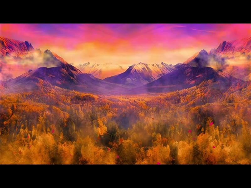 Surreal Fall 01 | Centerline New Media | Playback Media Store