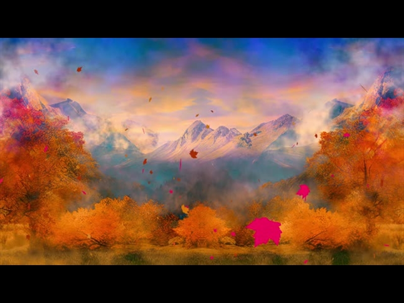 Surreal Fall 06 | Centerline New Media | Playback Media Store