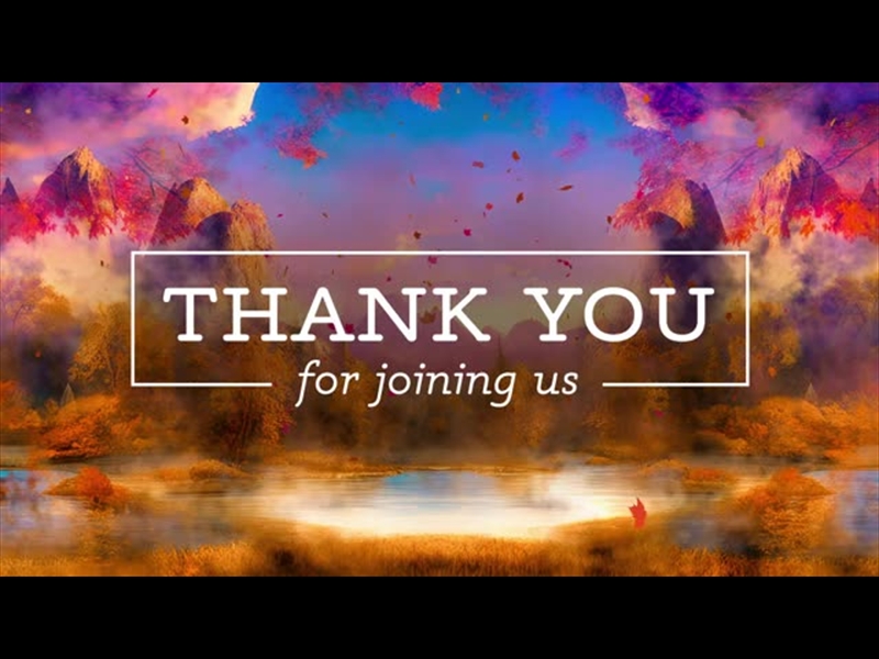 Surreal Fall | Centerline New Media | Playback Media Store