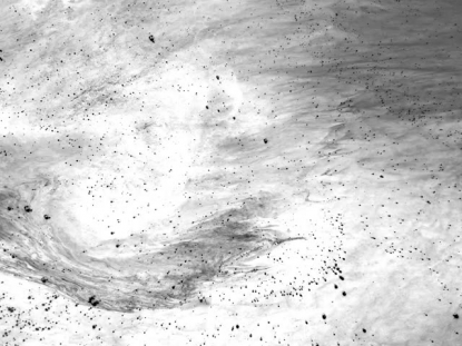 Vibrant Dust Service Pack | Centerline New Media | Playback Media Store