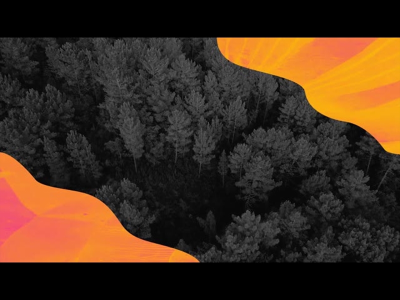 Unlimited Loops Motion Backgrounds & Loops | Playback Media Store