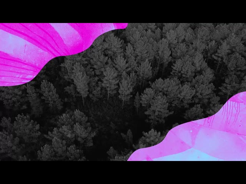 Vibrant Nature 06 | Centerline New Media | WorshipHouse Media