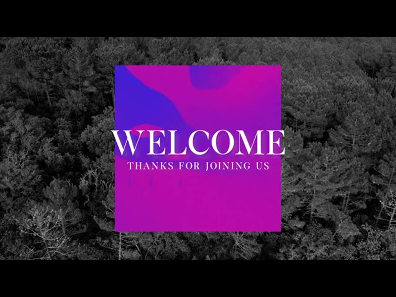 Vibrant Nature Welcome | Centerline New Media | Playback Media Store